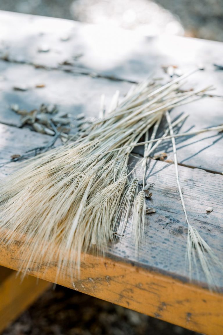 Earthy Grounded Archives - Inspired Stock Shop