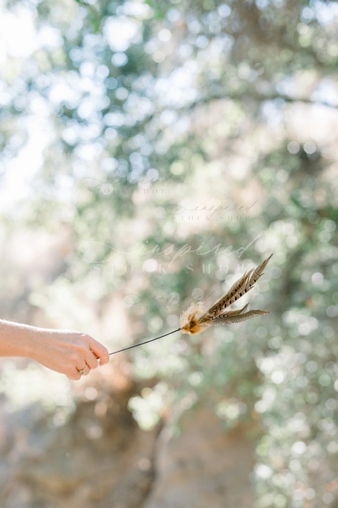 Earthy Grounded Archives - Inspired Stock Shop