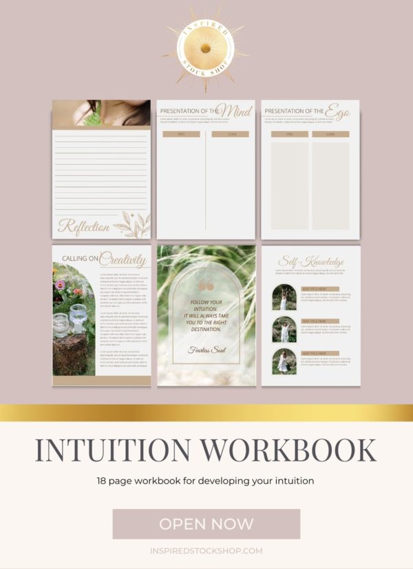 Intuition Workbook - Inspired Stock Shop
