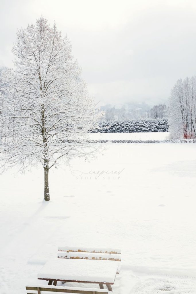 Winter Moments Archives - Inspired Stock Shop