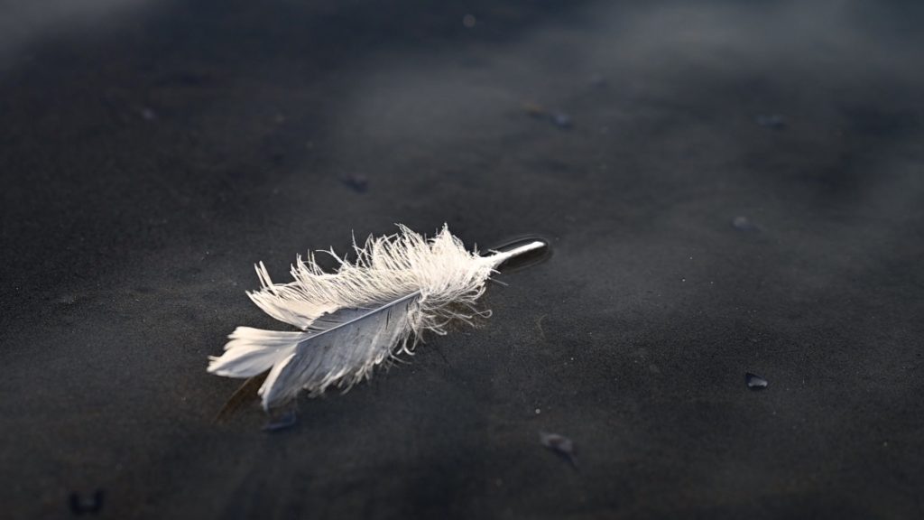 Floating Feather - Inspired Stock Shop