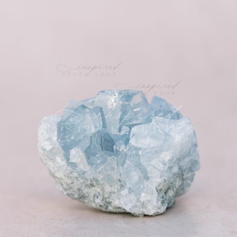 Crystal Dream Archives - Inspired Stock Shop