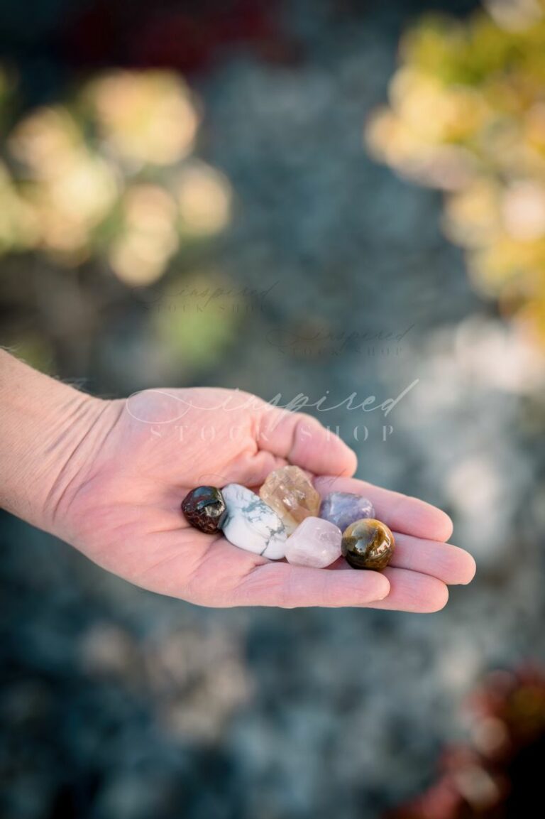 Crystal Dream Archives - Inspired Stock Shop