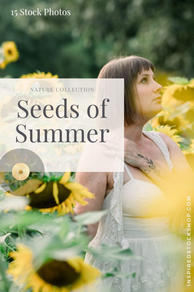 Oracle Card Mockups Collection - Inspired Stock Shop